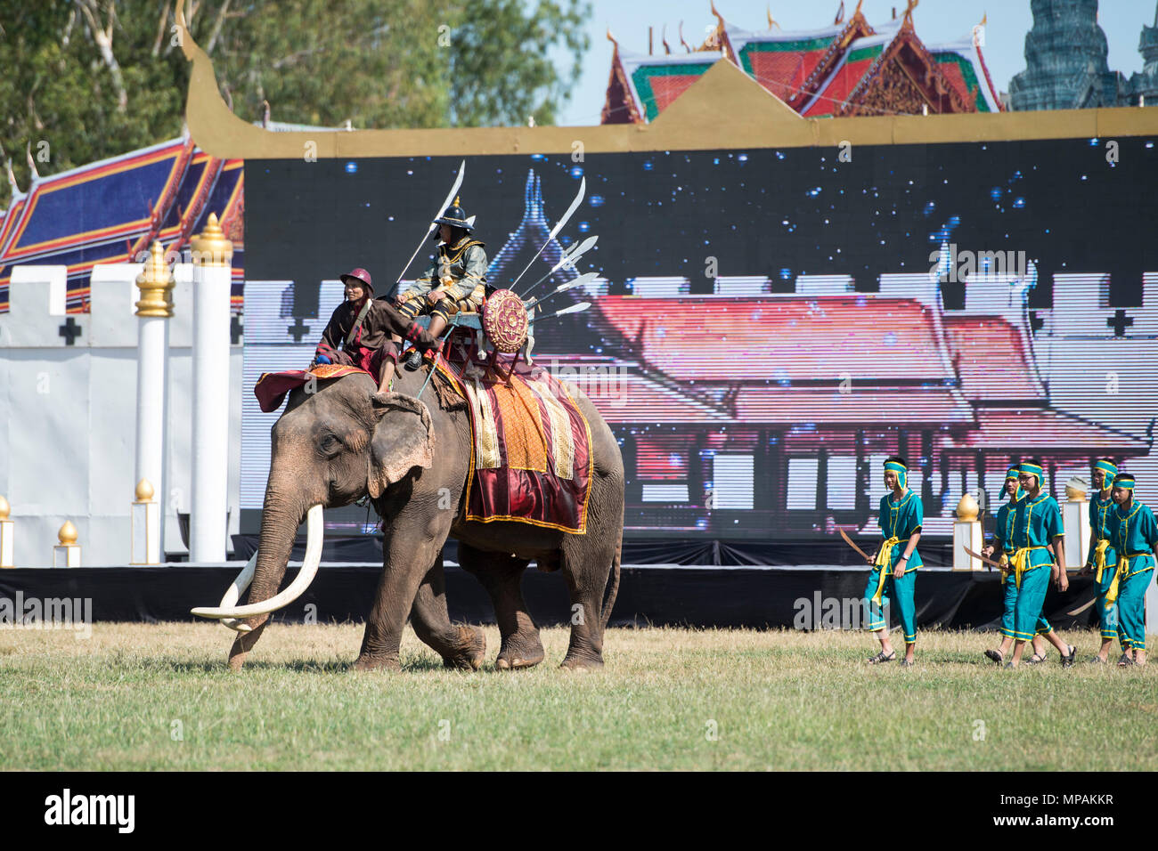 Elephants at the Elaphant Show in the Stadium at the traditional ...