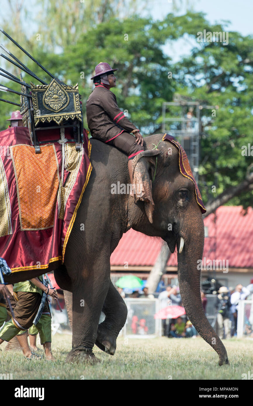 Elephants at the Elaphant Show in the Stadium at the traditional ...