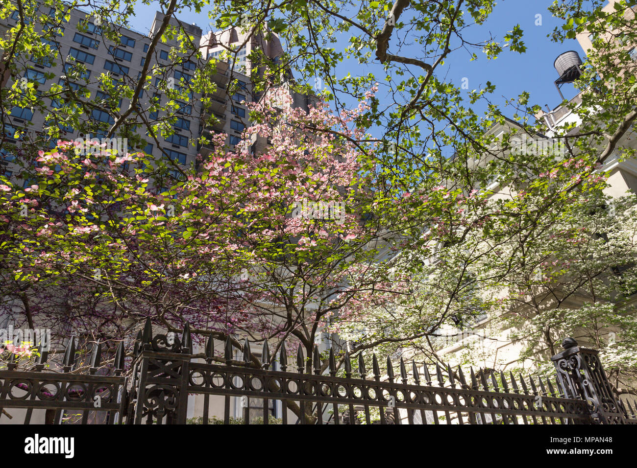 The new church swedenborgian hi-res stock photography and images - Alamy