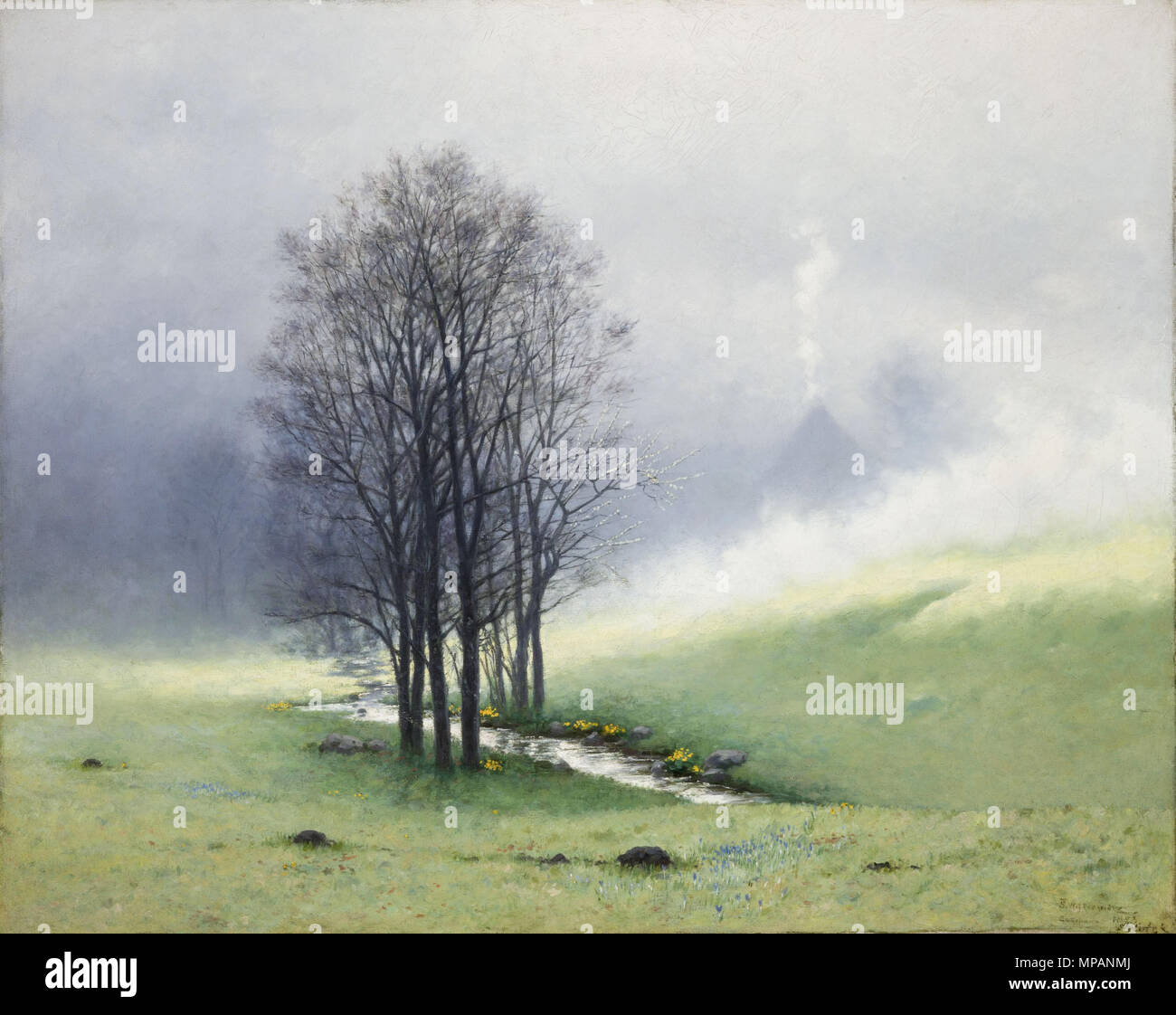 Wiosenna hi-res stock photography and images - Alamy