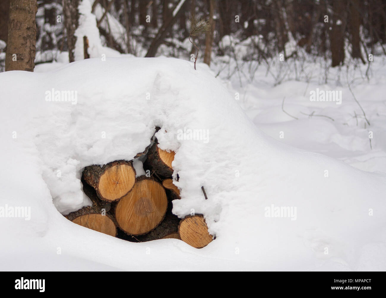 Thick snow cover hi-res stock photography and images - Alamy