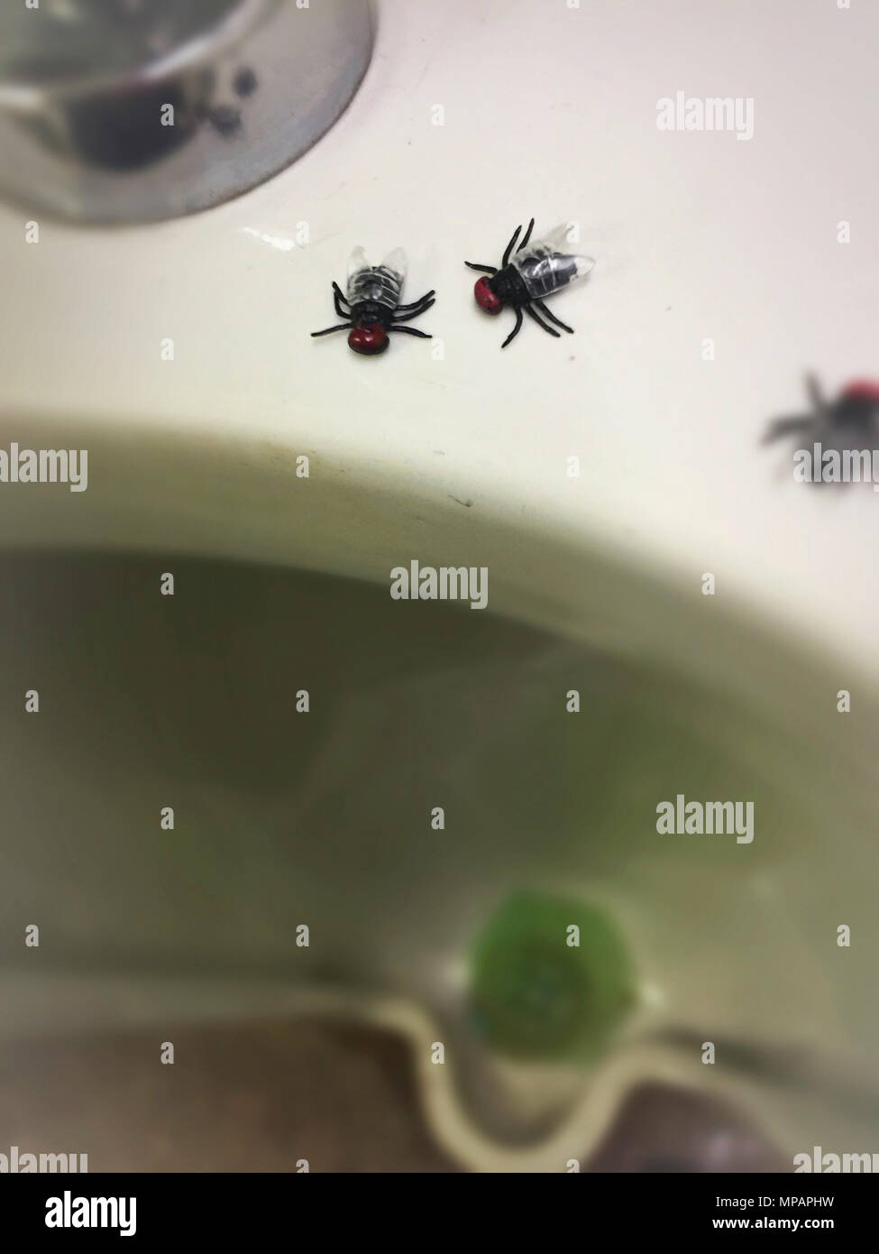 Disgusting toilet hi-res stock photography and images - Alamy