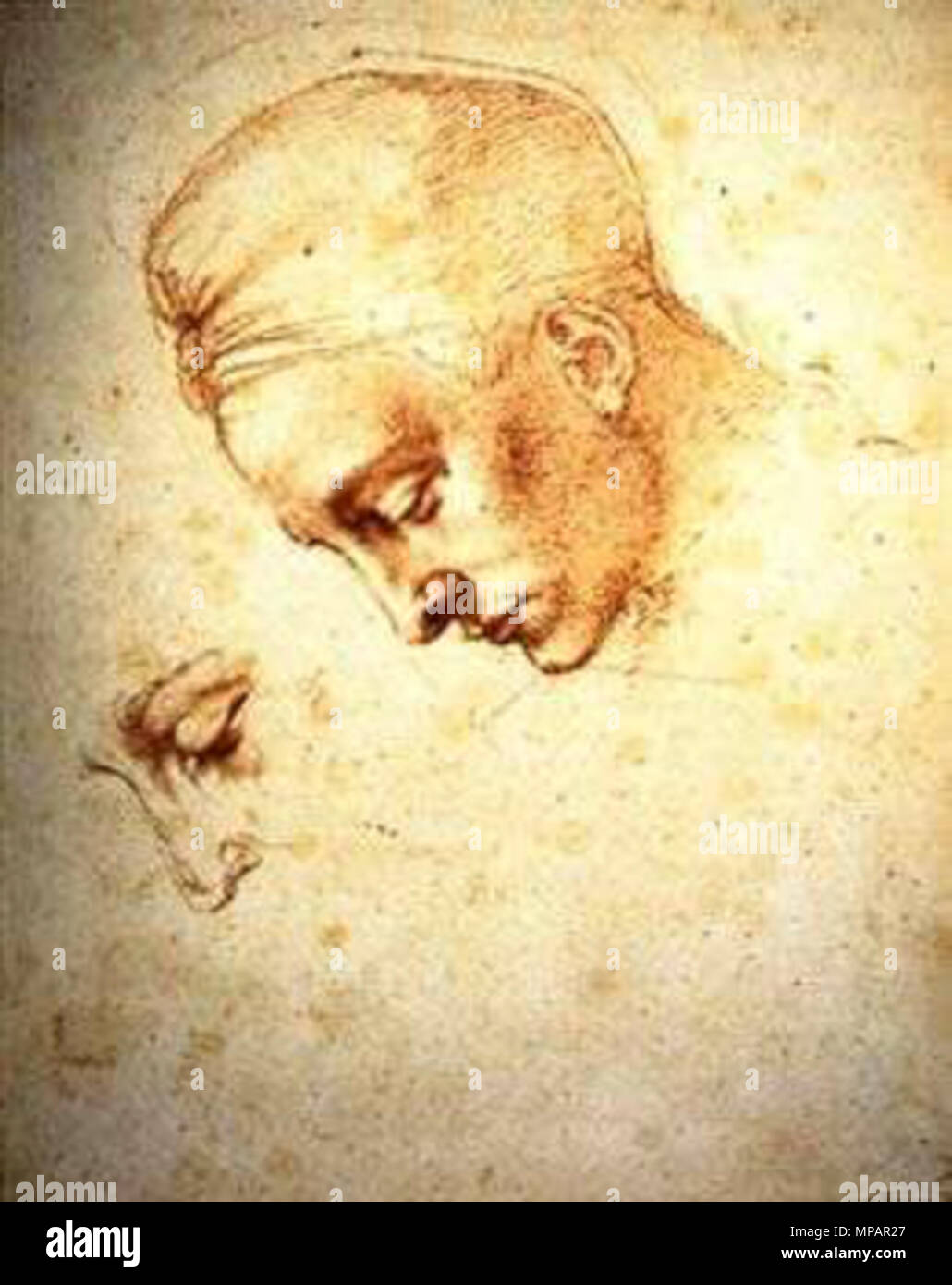 Leda swan michelangelo hi-res stock photography and images - Alamy