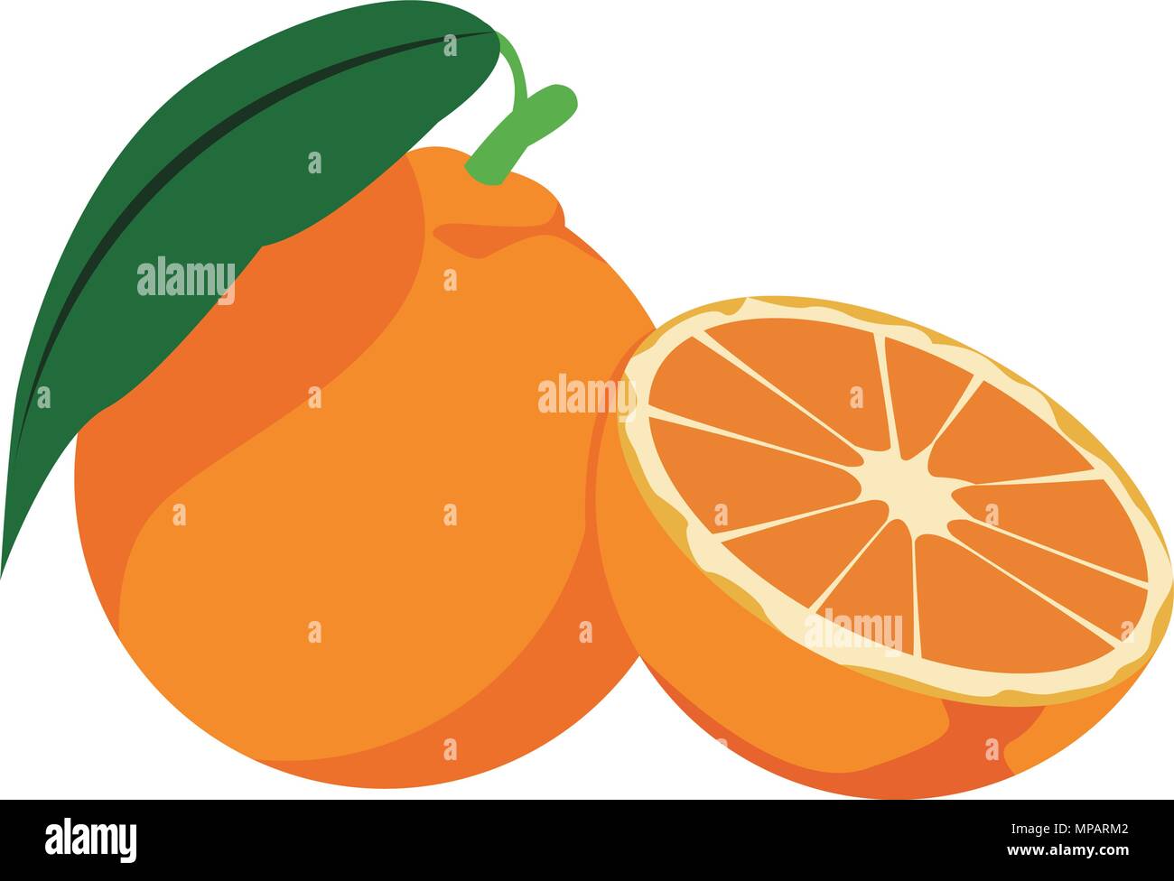 Orange half cut Stock Vector Image & Art - Alamy