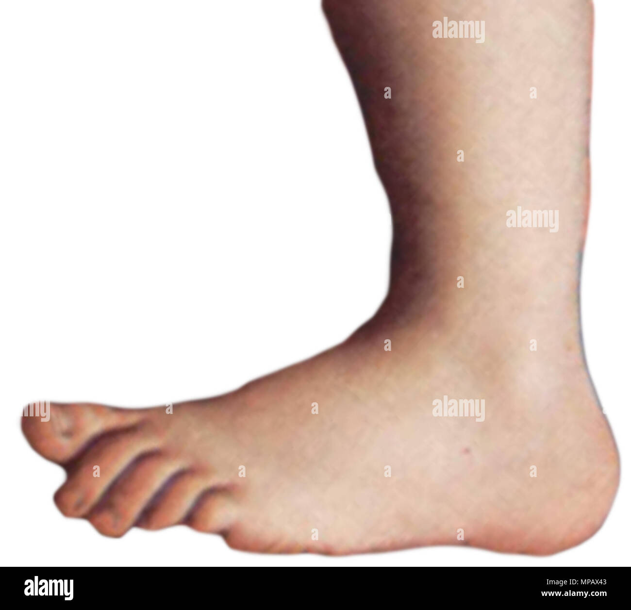 Monty python hi-res stock photography and images - Alamy