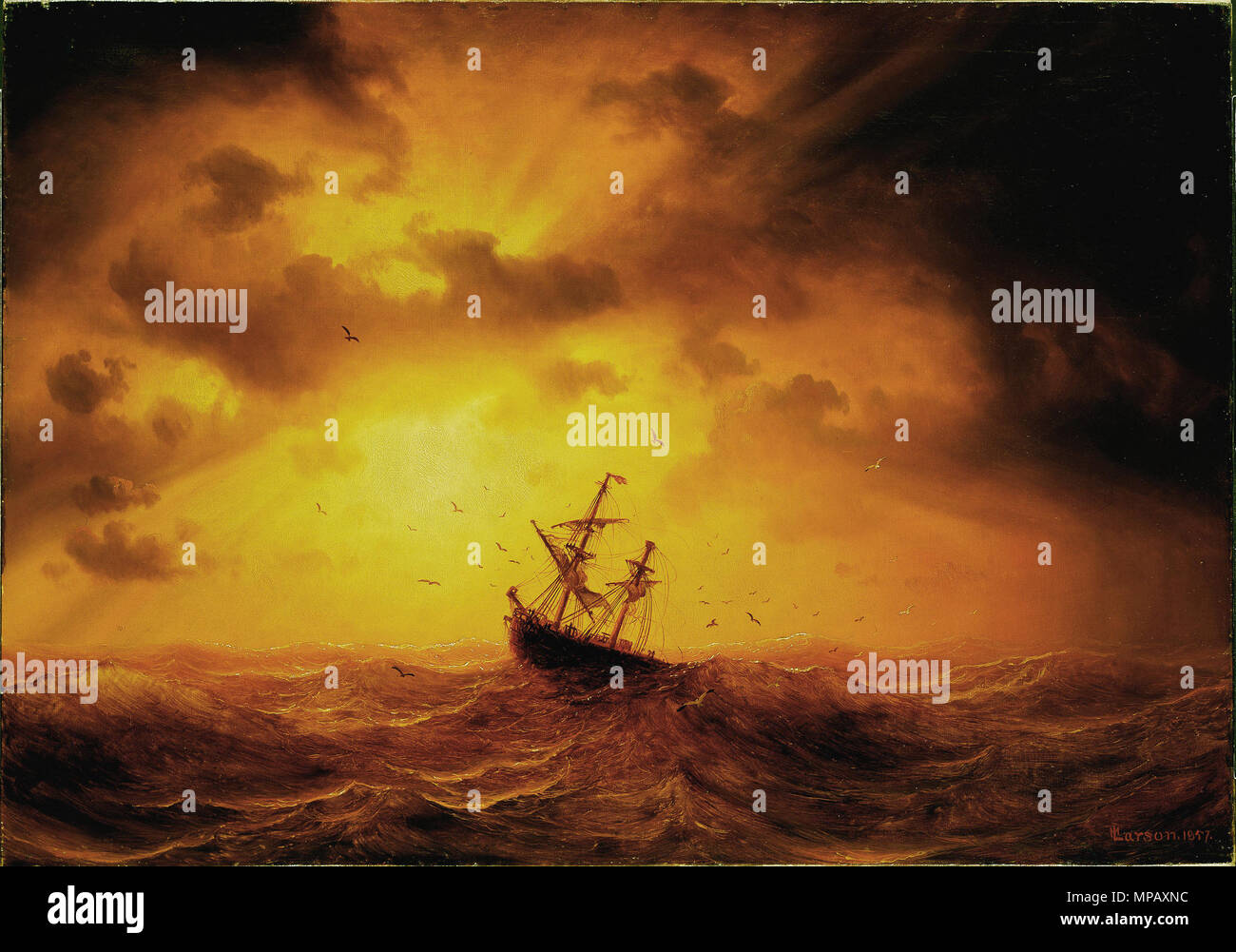 Marcus larson hi-res stock photography and images - Alamy