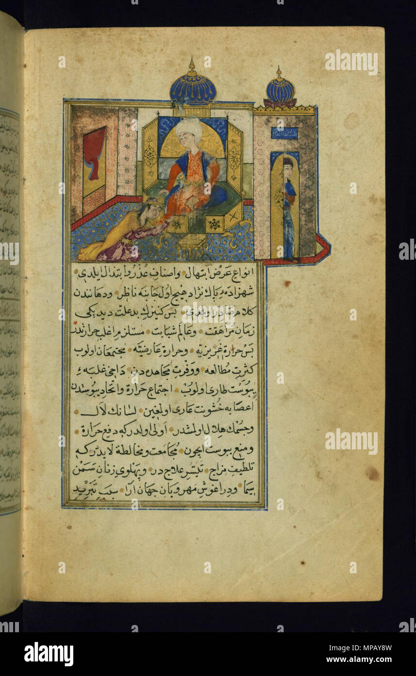 Muhammad ibn `Ali Katib al-Samarqandi. 'The King's Wife and the Prince ...