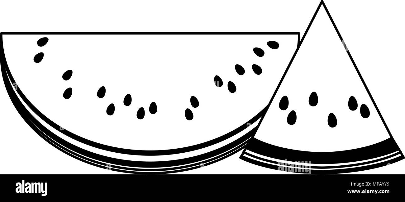 Watermelons sliced fruits in black and white Stock Vector Image & Art ...
