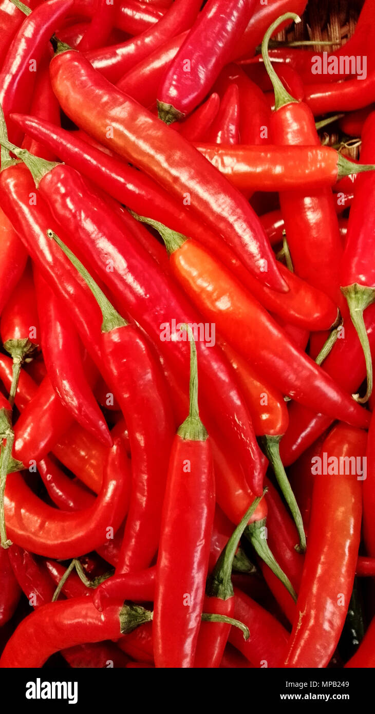 Group of chillies Stock Photo - Alamy