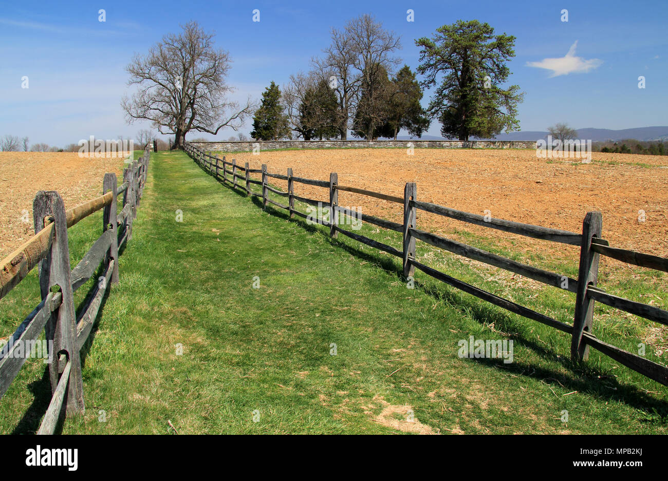 Battle of antietam dead hi-res stock photography and images - Alamy