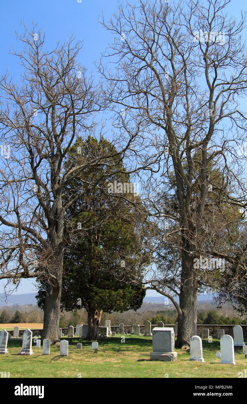Battle of antietam dead hi-res stock photography and images - Alamy