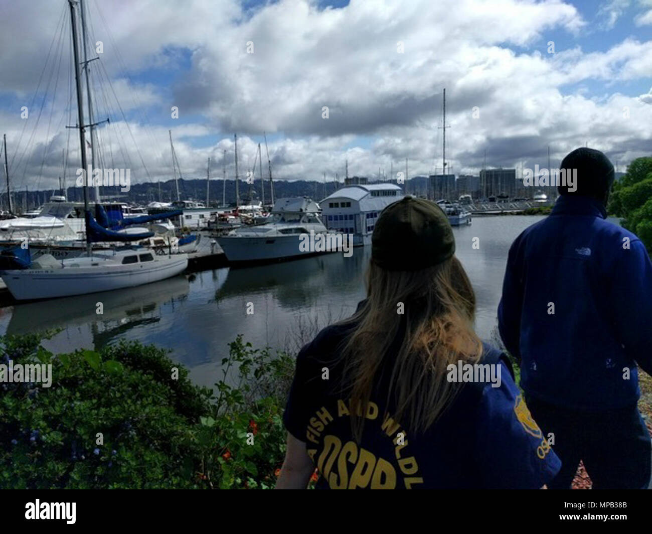 Haley fish hi-res stock photography and images - Alamy