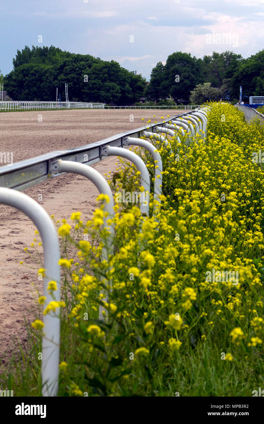 Horse race straight track with fencing Stock Photo - Alamy