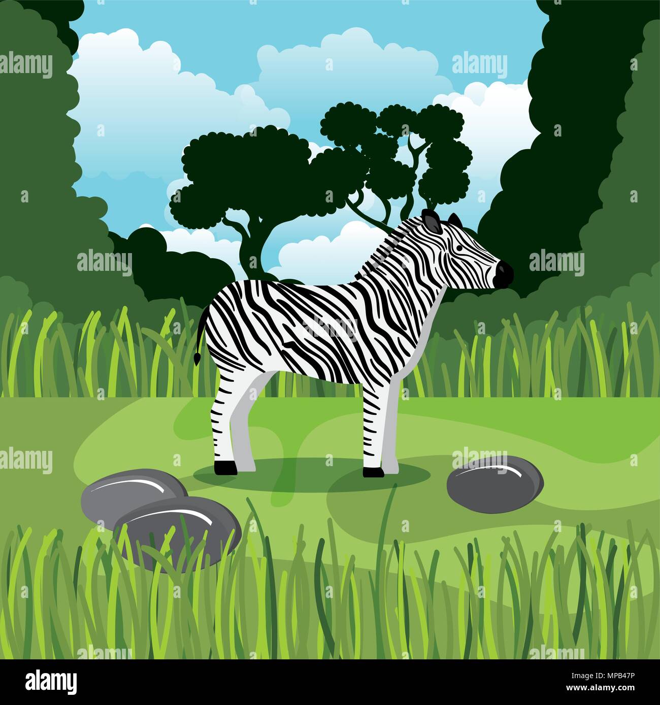 Zebra Plant Rainforest High Resolution Stock Photography and Images - Alamy