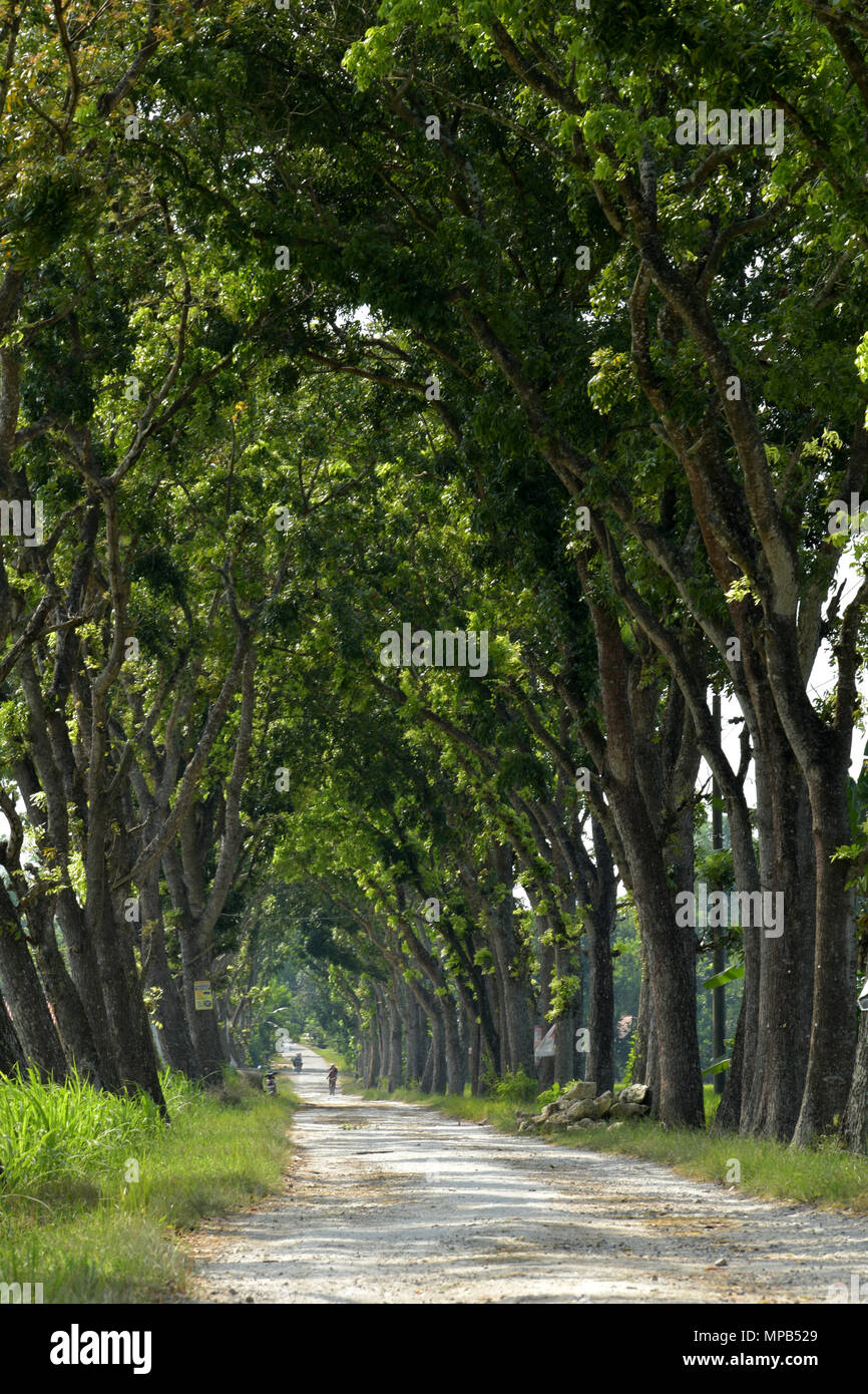 Java road hi-res stock photography and images - Alamy