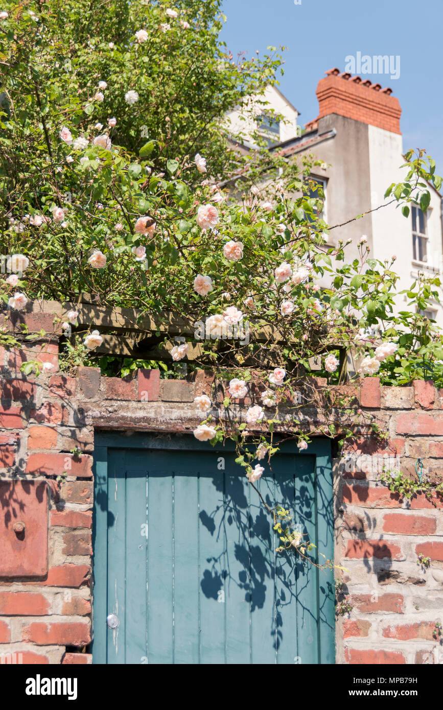 Climbing over a gate hi-res stock photography and images - Alamy