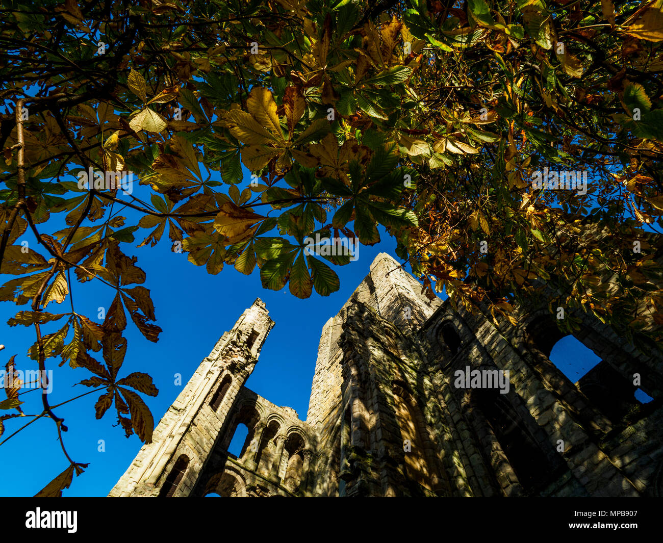 Kelso Abbey, Scottish Borders. Abbey with autumn trees Stock Photo - Alamy