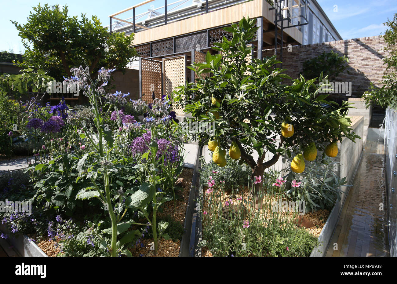 The Lemon Tree Trust garden at the RHS Chelsea Flower Show at the Royal ...