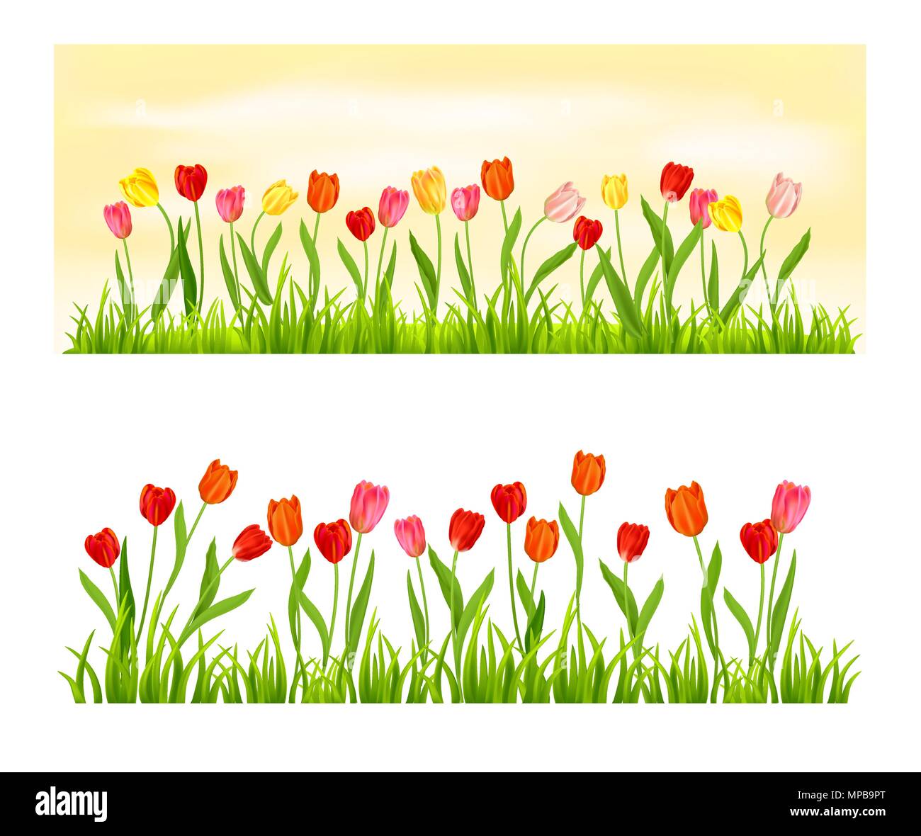 Botanical decoration banner Cut Out Stock Images & Pictures - Alamy