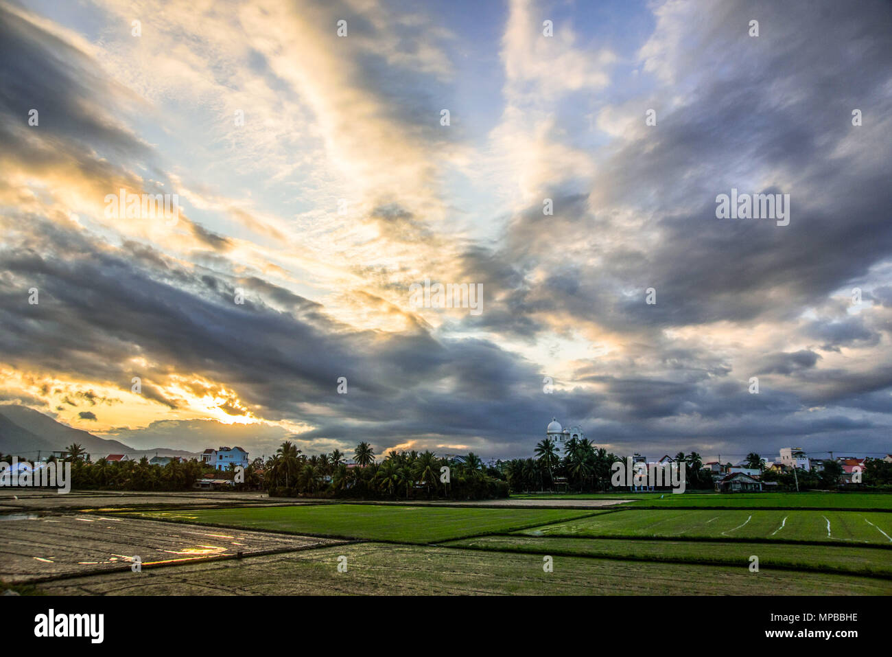 Field of grass scenery with sunset nature landscape background Stock ...