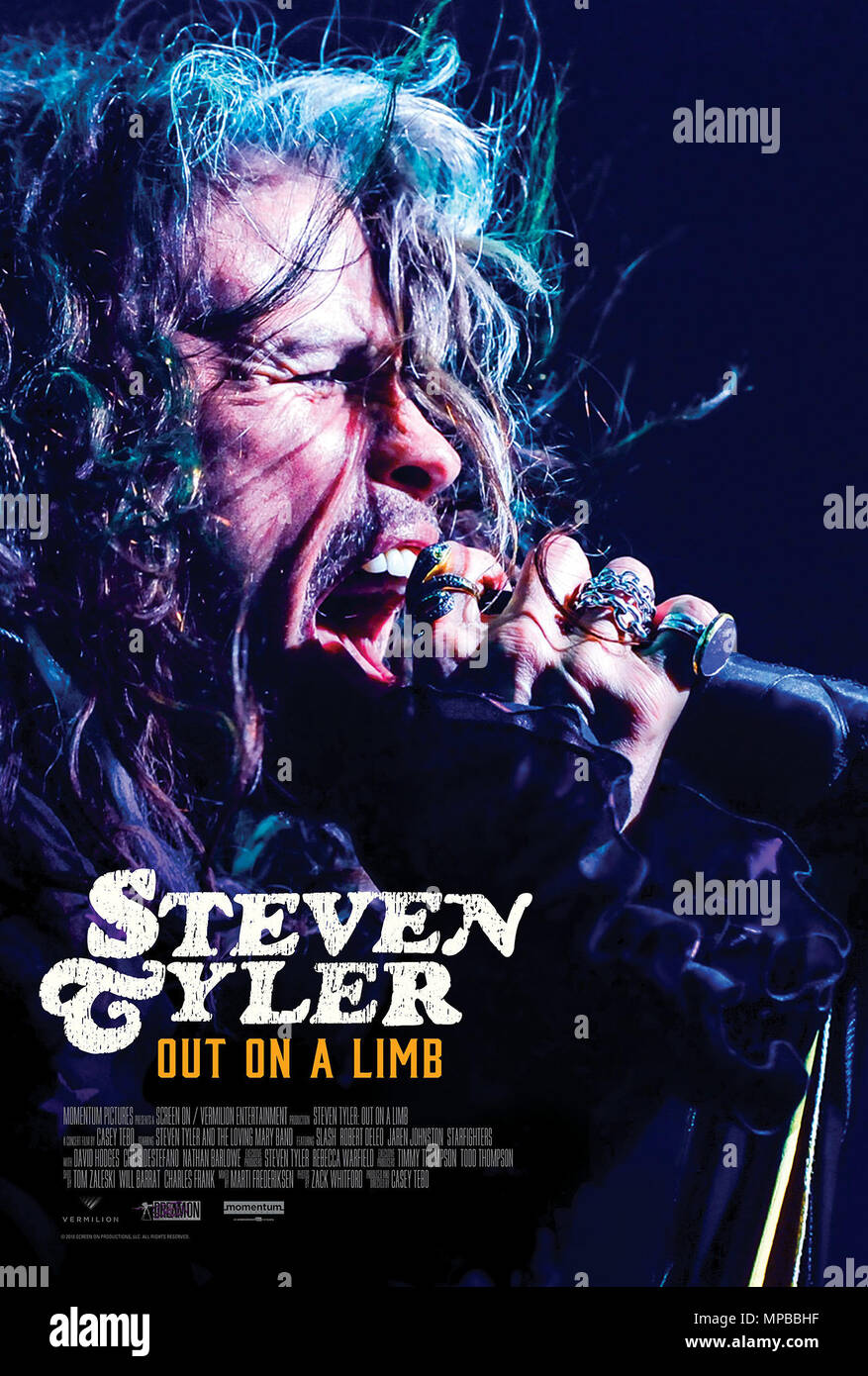 STEVEN TYLER: OUT ON A LIMB, US poster, Steven Tyler, 2018. © Momentum ...