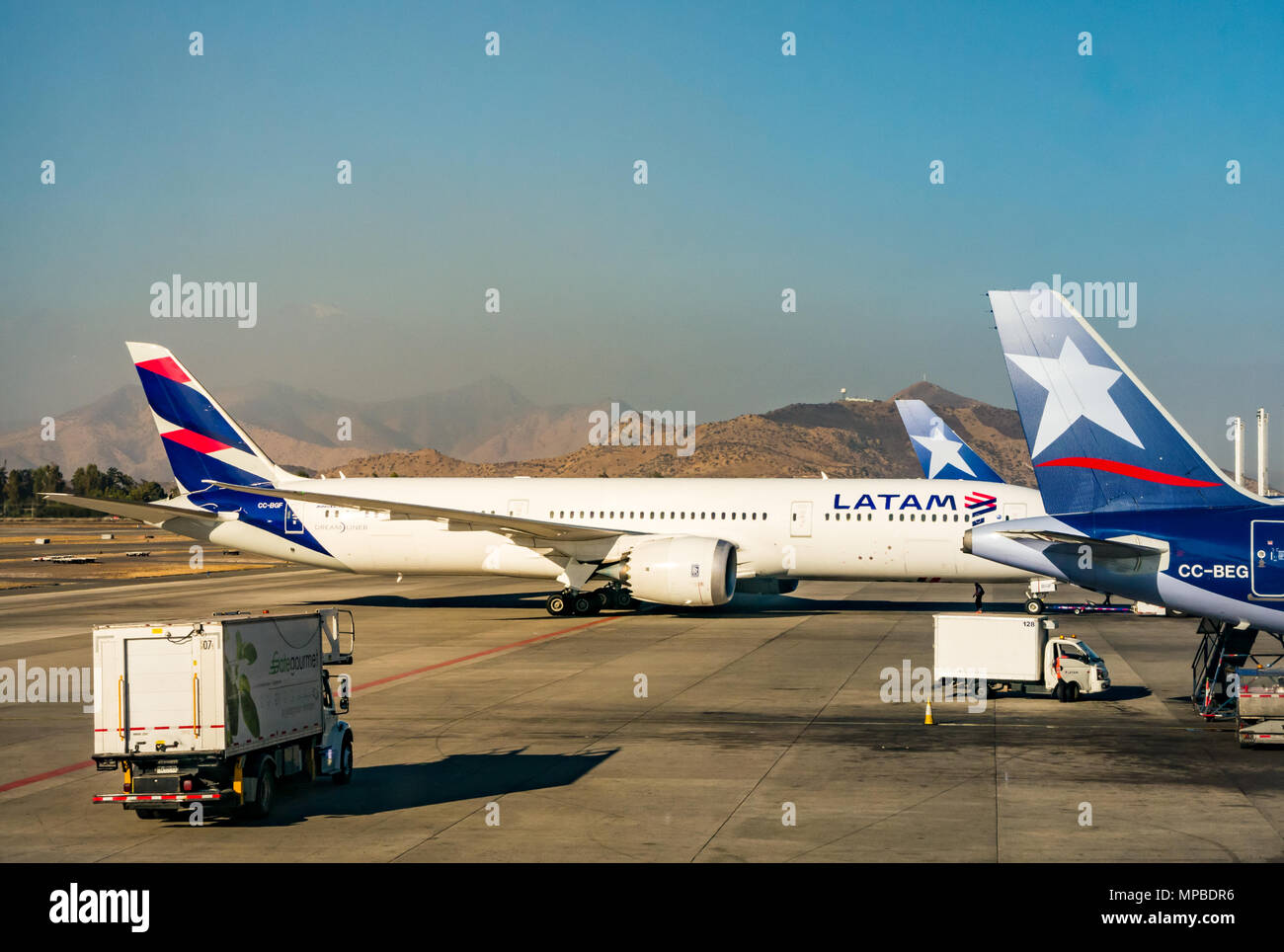 Tam Airlines Logo