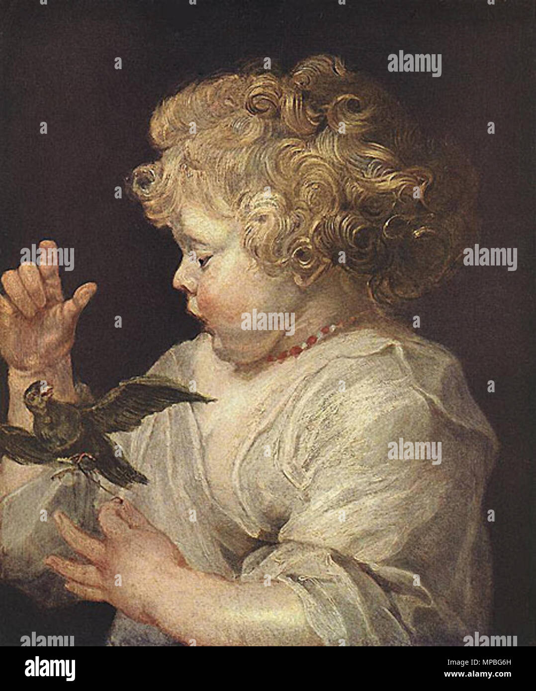 A child with bird . Probably Rubens' first son Albert . circa 1616 ...