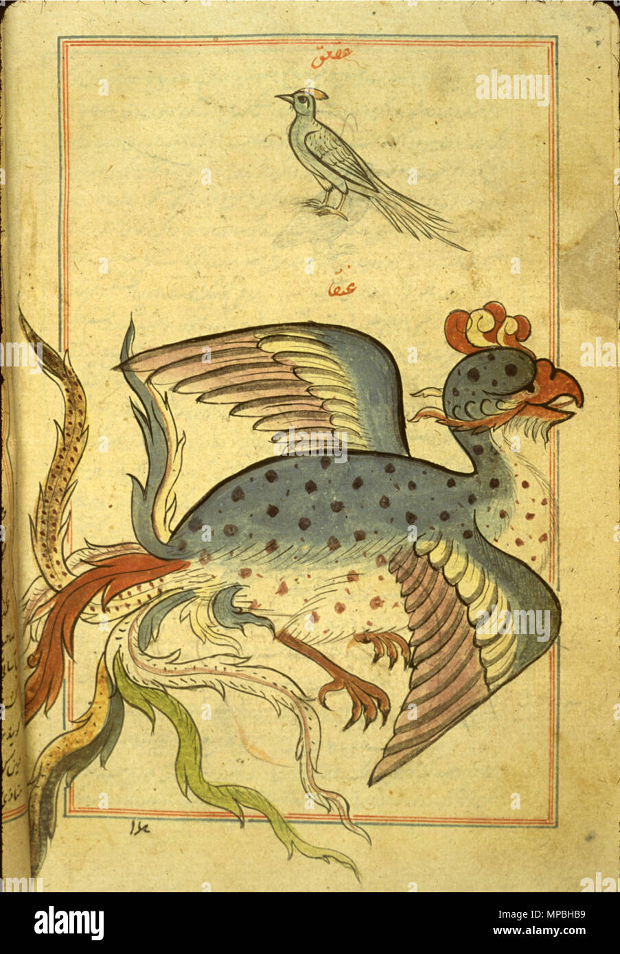. English: A simurgh (‘anqa') from al-Qazwini's Wonders of creation ...