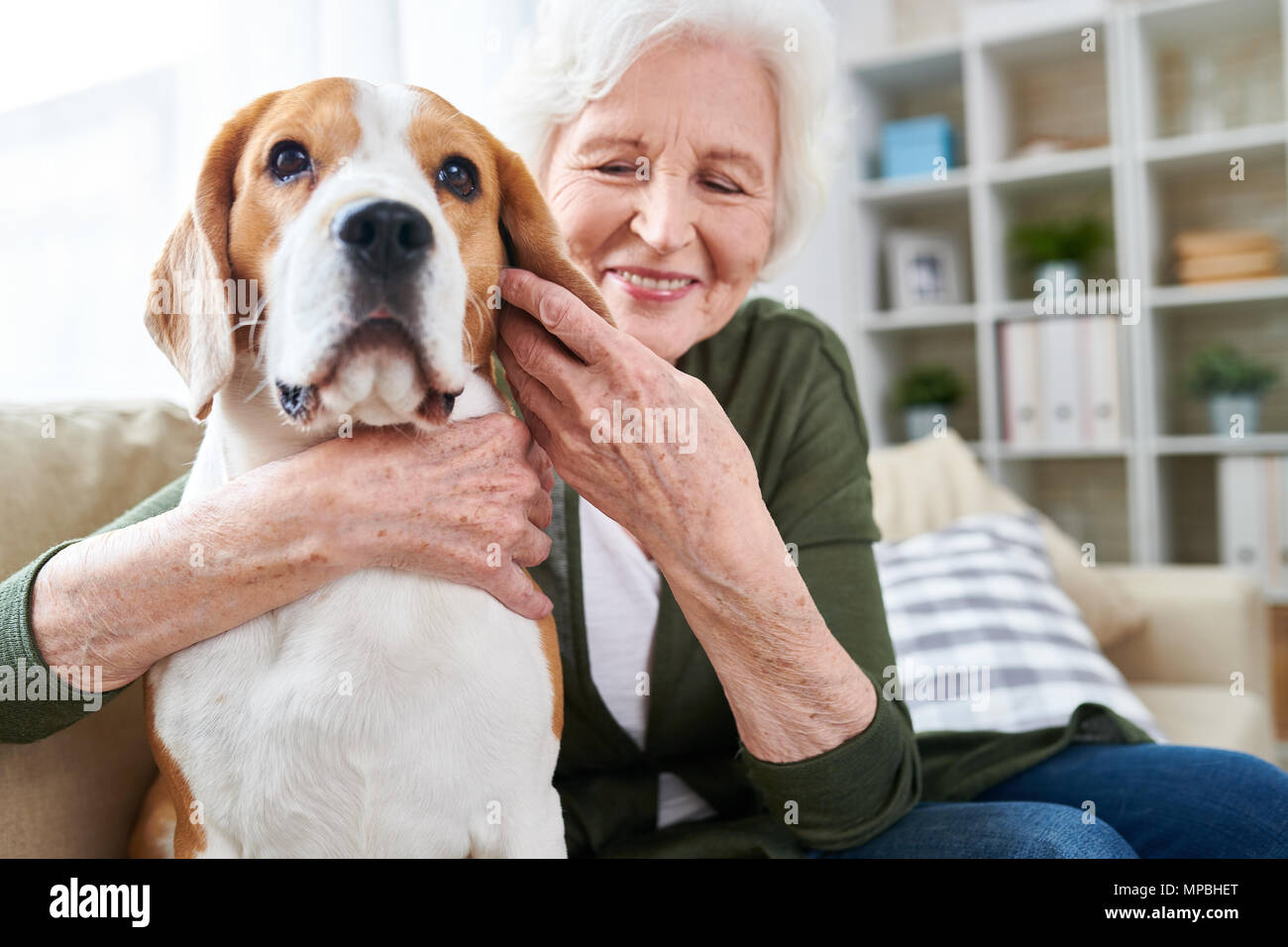 Retired happy retirement dog hi-res stock photography and images - Alamy