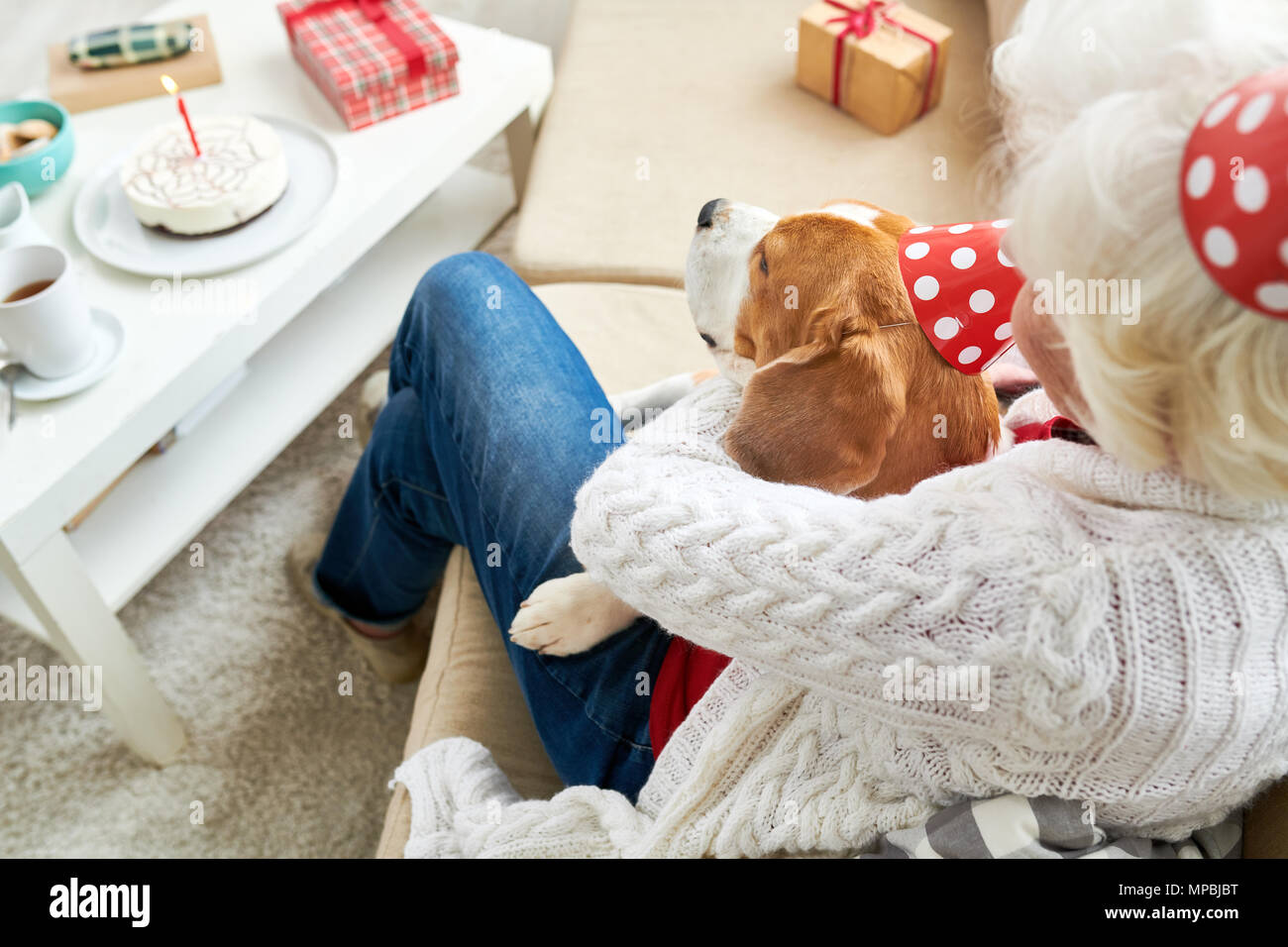Happy Dog with Owner Stock Photo - Alamy