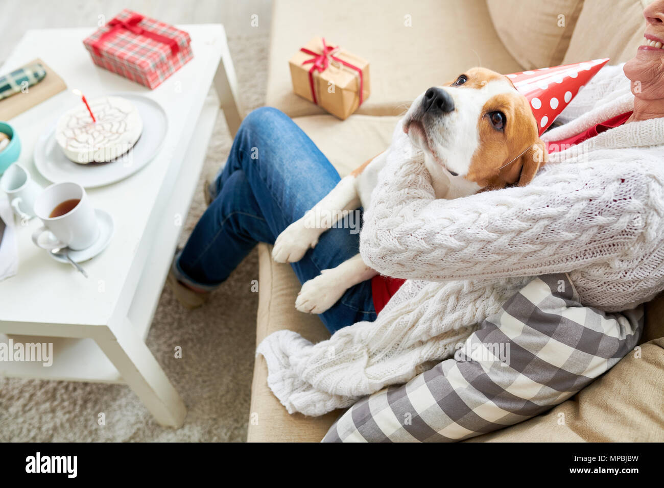 Retired happy retirement dog hi-res stock photography and images - Alamy