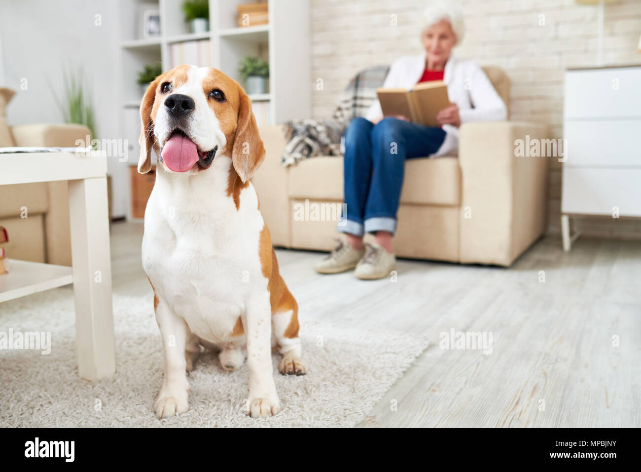 Loving home hi-res stock photography and images - Alamy