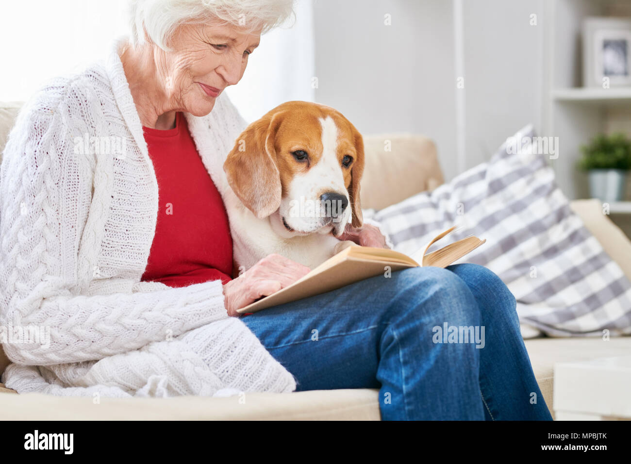 Woman reading with dog hi-res stock photography and images - Alamy