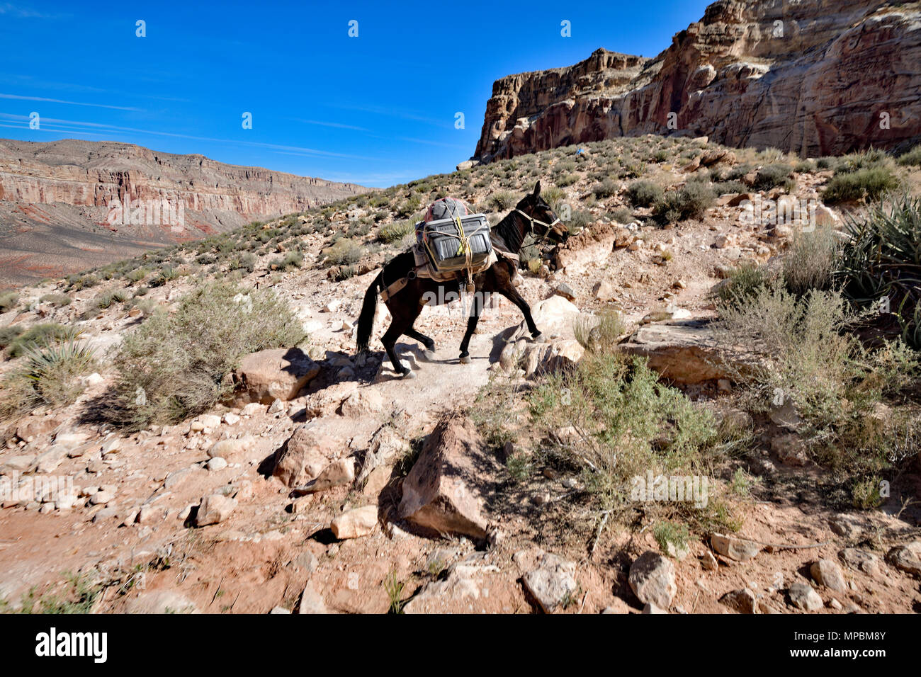 Supai trail hi-res stock photography and images - Alamy
