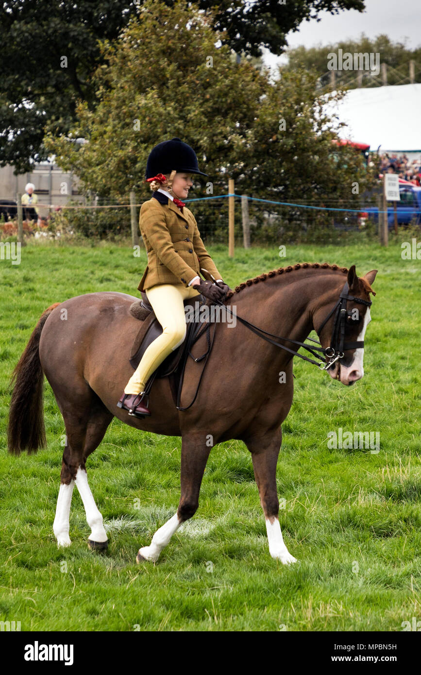 Equestrian display at Stokesley Show, North Yorkshire, England, UK ...