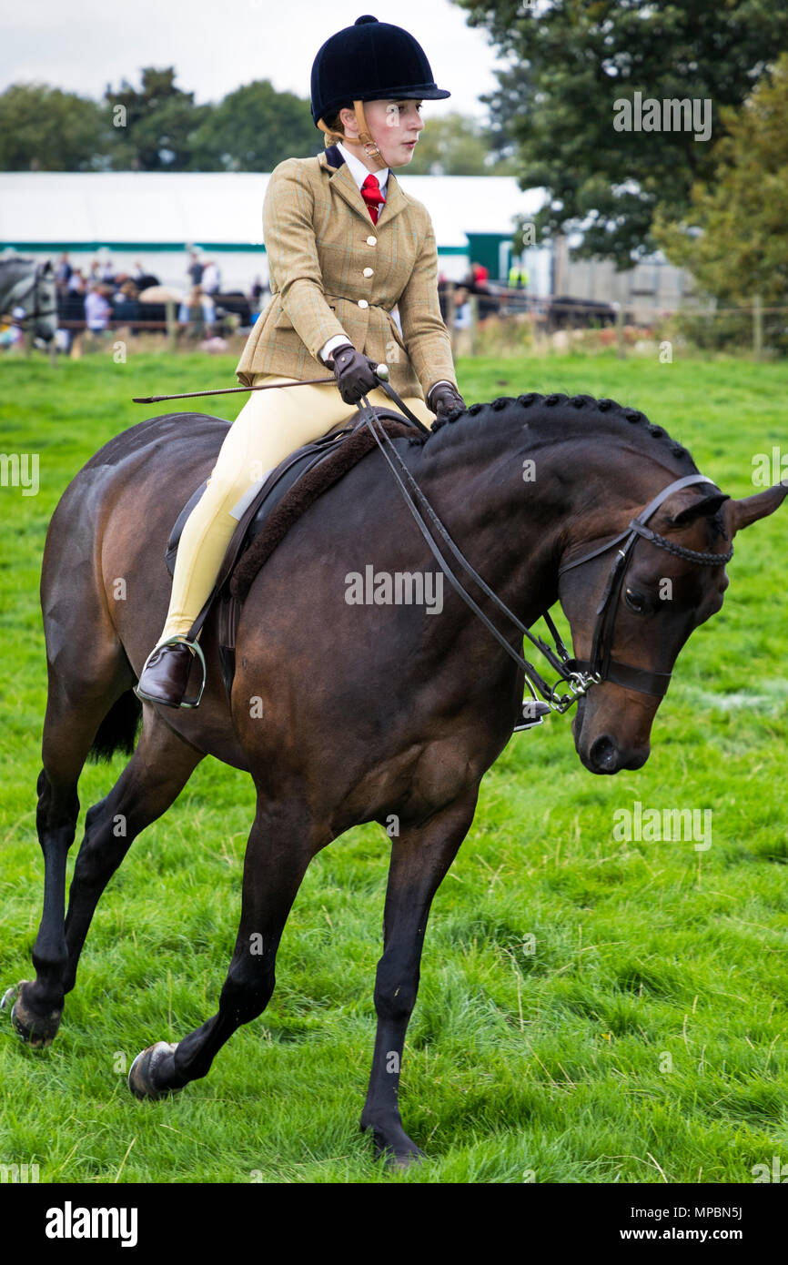Equestrian display at Stokesley Show, North Yorkshire, England, UK ...