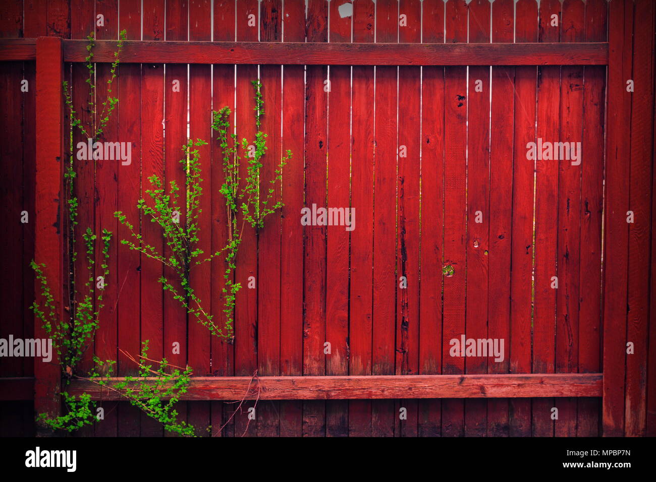 Wallpaper fence hi-res stock photography and images - Alamy