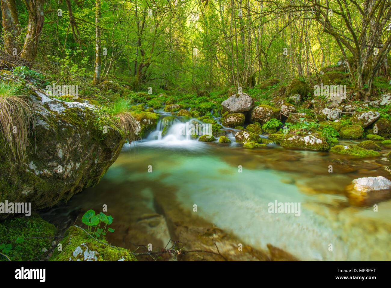 Idyllic, secluded pond forms at the base of some small waterfalls. Mist ...