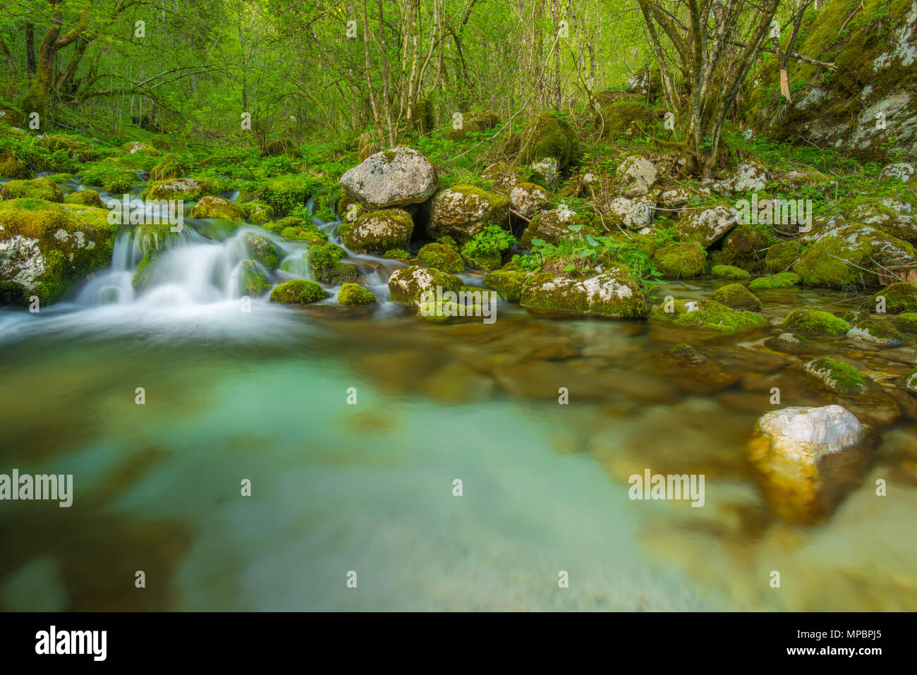 Idyllic, secluded pond forms at the base of some small waterfalls. Mist ...