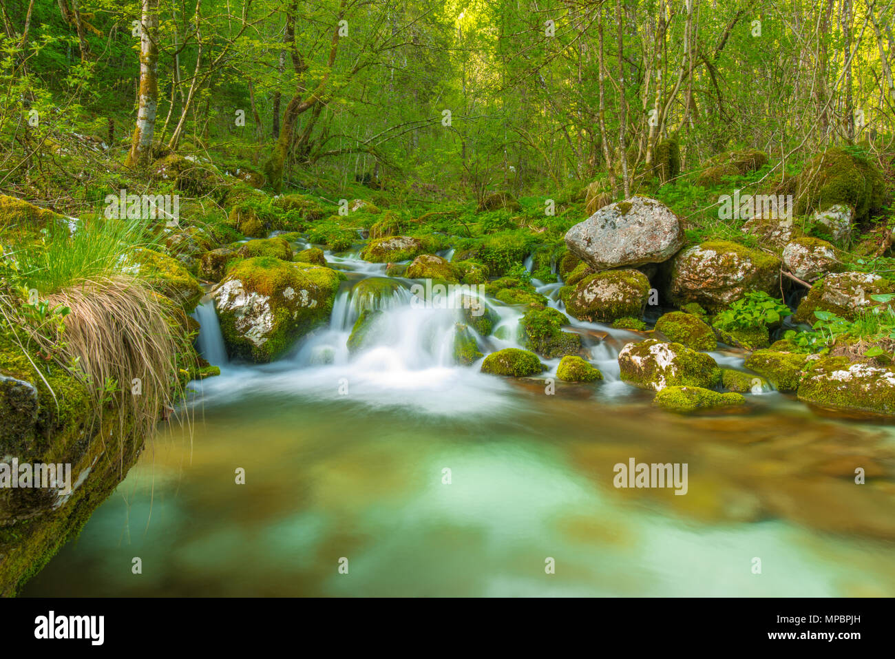 Idyllic, secluded pond forms at the base of some small waterfalls. Mist ...
