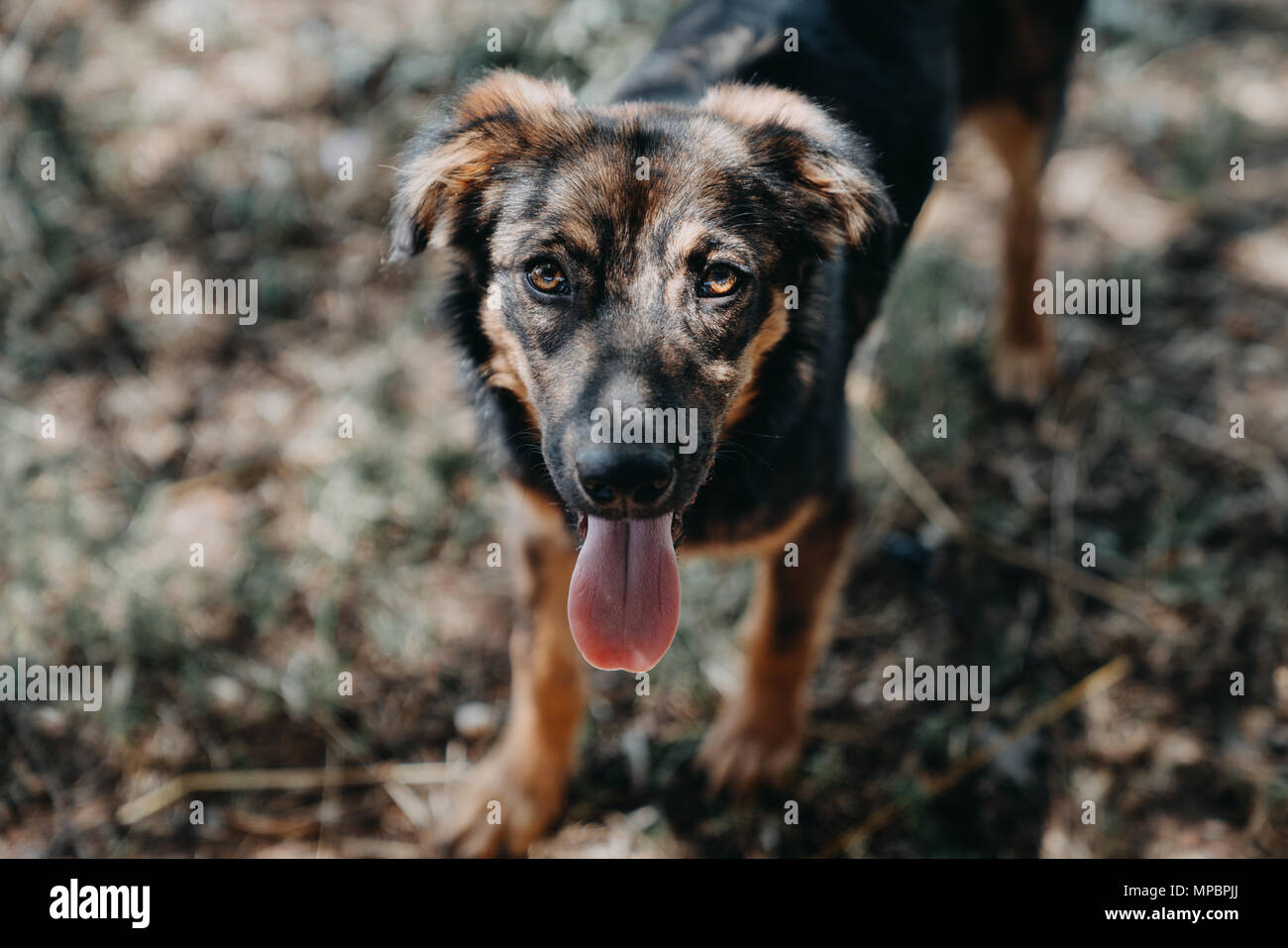 Homeless standing hi-res stock photography and images - Alamy