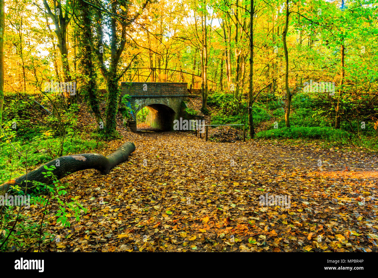 Disused railway midlands hi-res stock photography and images - Alamy