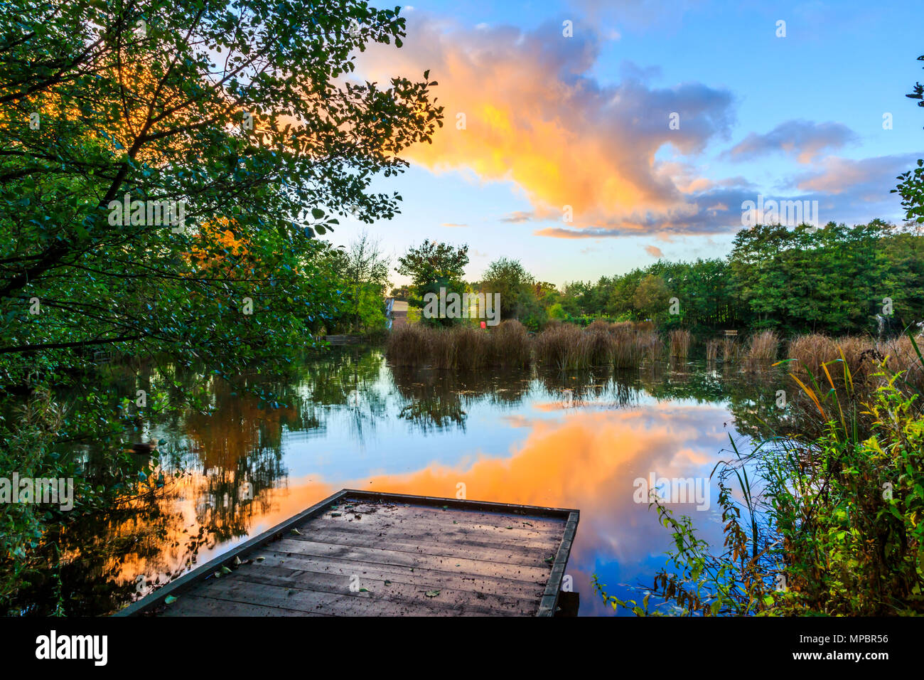 Baggeridge hi-res stock photography and images - Alamy