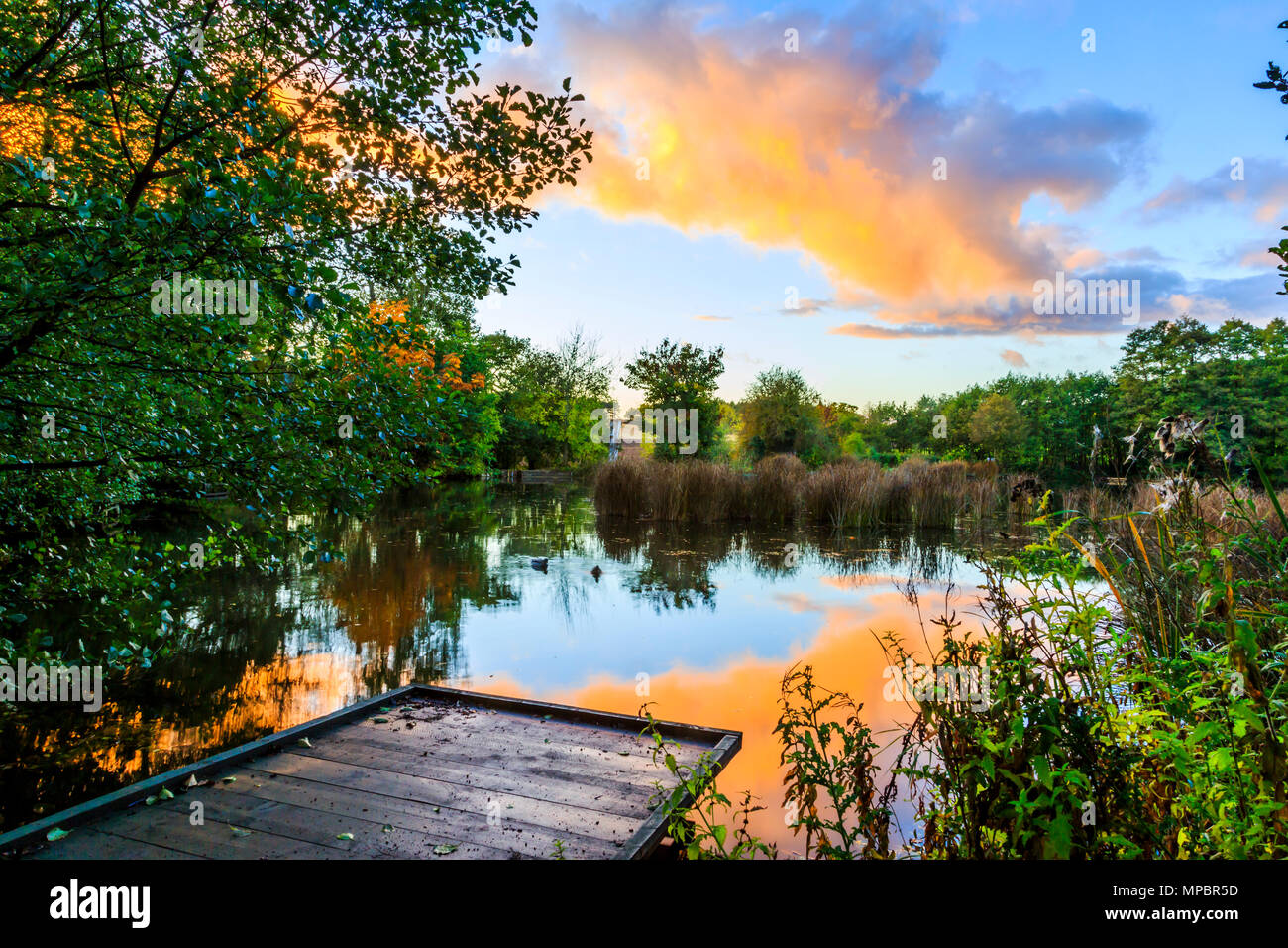 Baggeridge hi-res stock photography and images - Alamy