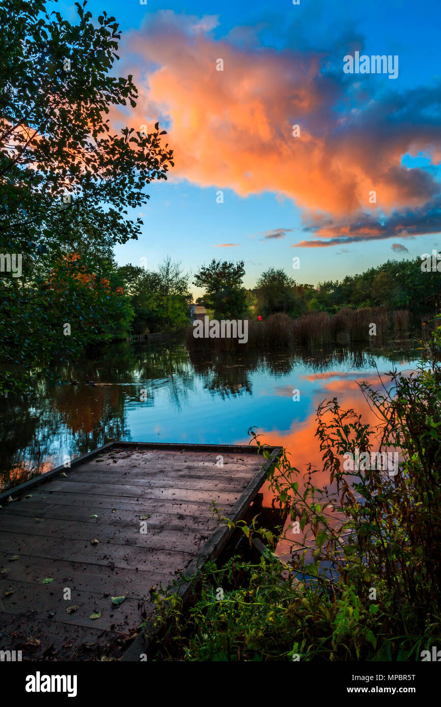 Baggeridge High Resolution Stock Photography and Images - Alamy