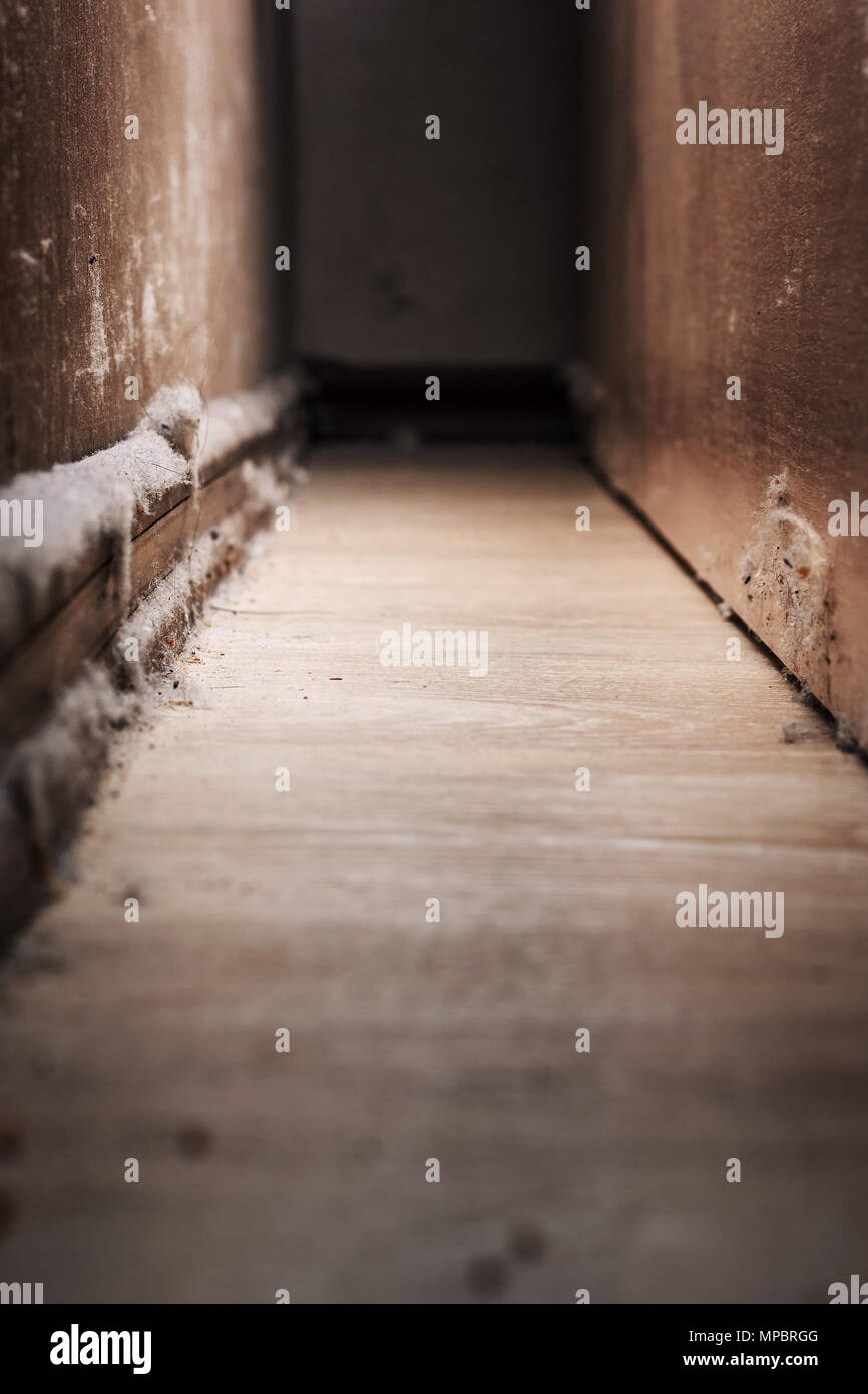 a huge pile of dirt on the floor of the house close by the baseboard ...
