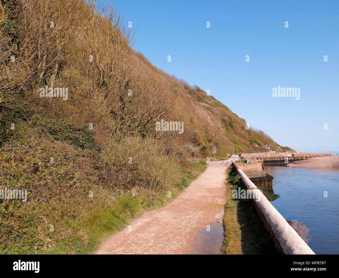 Lyme regis undercliffs hi-res stock photography and images - Alamy