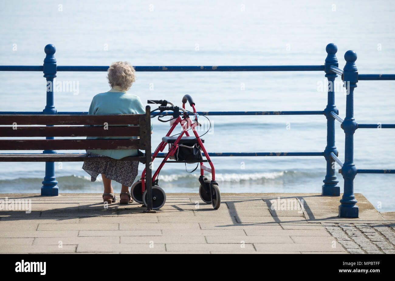 Elderly woman sitting rear view bench hi-res stock photography and ...