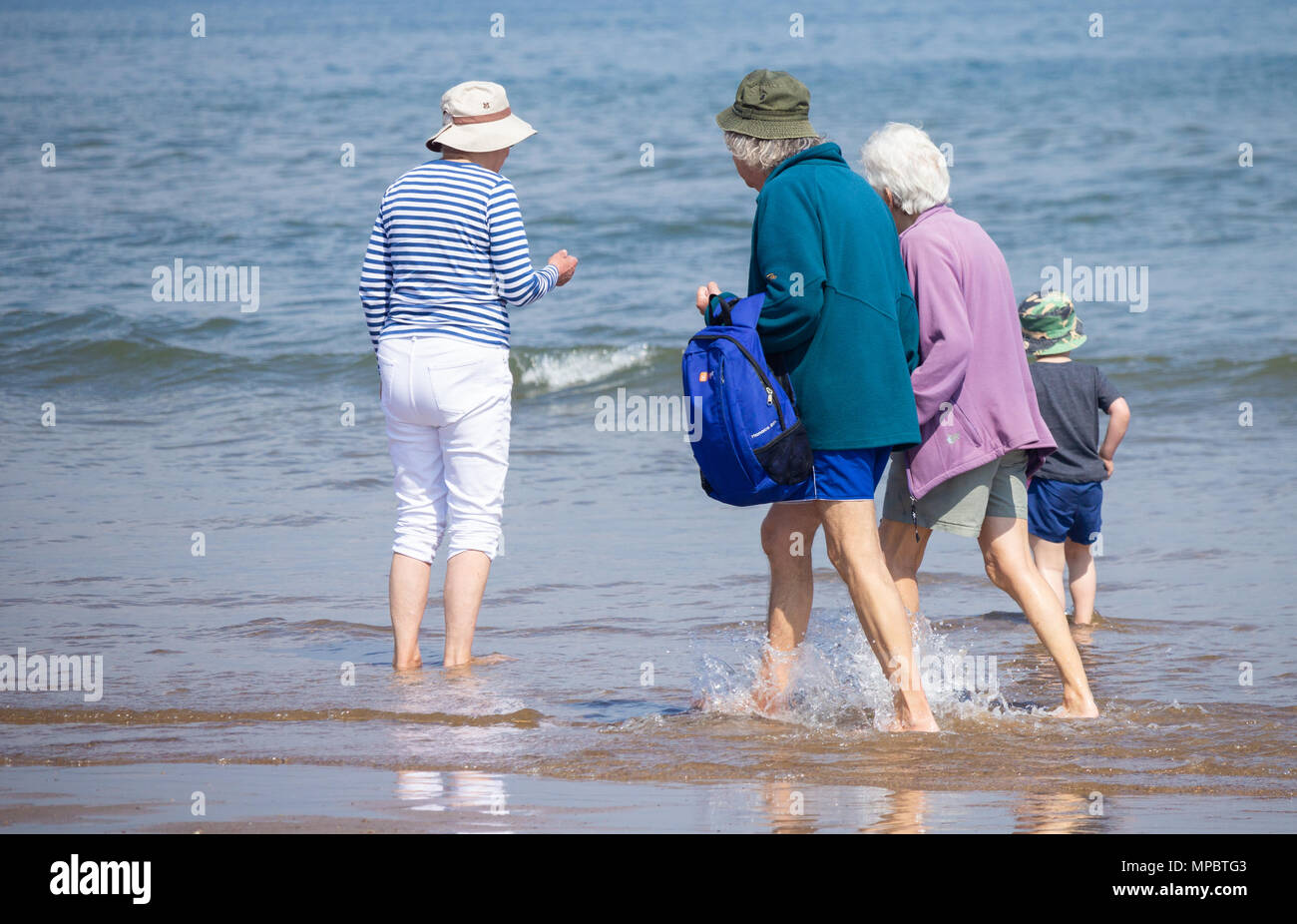 Elderly couple paddling in the sea. England. UK Stock Photo - Alamy