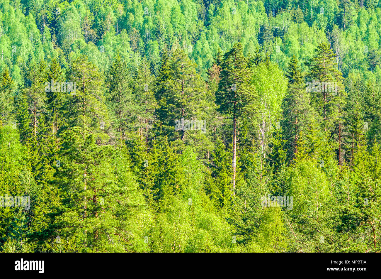 Norwegian spring hi-res stock photography and images - Alamy